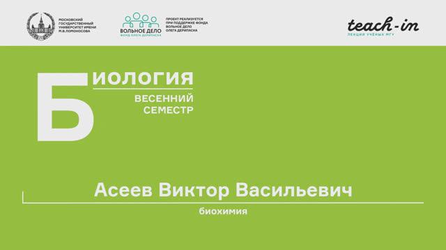 10. Митоз. Мейоз. Общая биология - Асеев В. В. Teach-in.