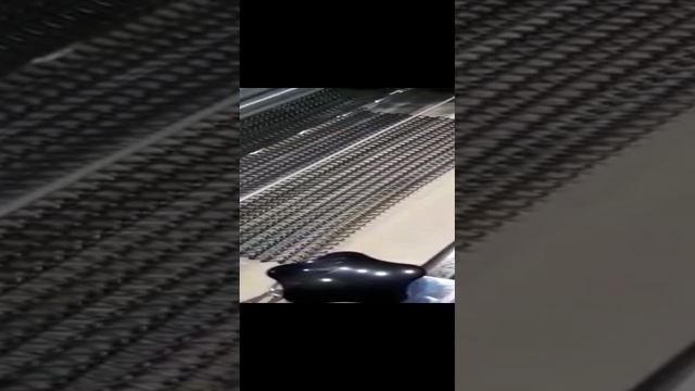 Машина тестозакаточная Агро Форм 11 на АгроПромМаш 2021. +7-919-382-1601, euromach.m@mail.ru