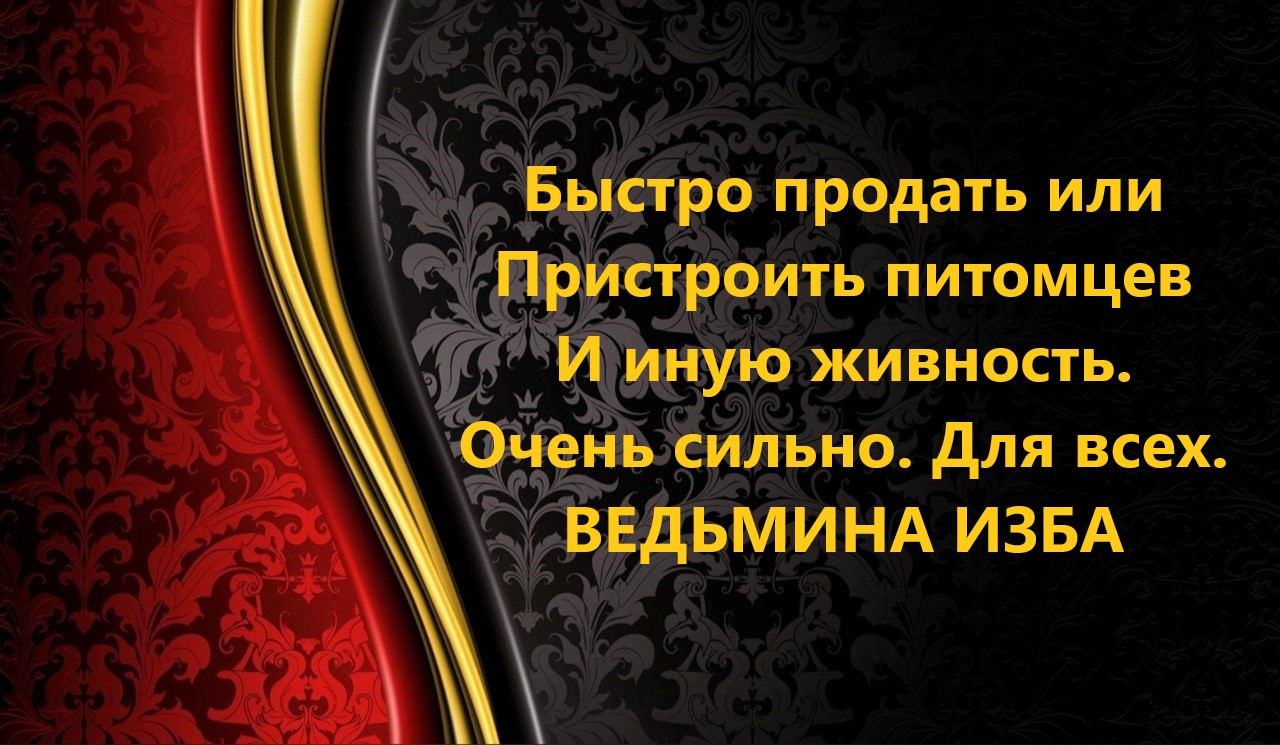 БЫСТРО ПРОДАТЬ ИЛИ ПРИСТРОИТЬ ПИТОМЦЕВ И ИНУЮ ЖИВНОСТЬ..ОЧЕНЬ СИЛЬНО..ДЛЯ ВСЕХ..АВТОР: ИНГА ХОСРОЕВА