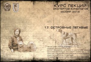 Лекция 17. Островные легавые