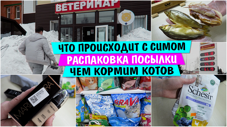 Что происходит с СИМОМ / Чем кормим КОТОВ / Распаковка ПОСЫЛКИ