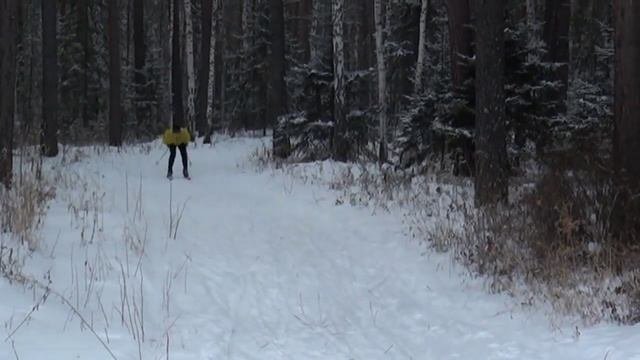 День конституции .mp4