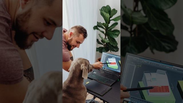 КАК ПРАВИЛЬНО ДРЕССИРОВАТЬ СОБАКУ