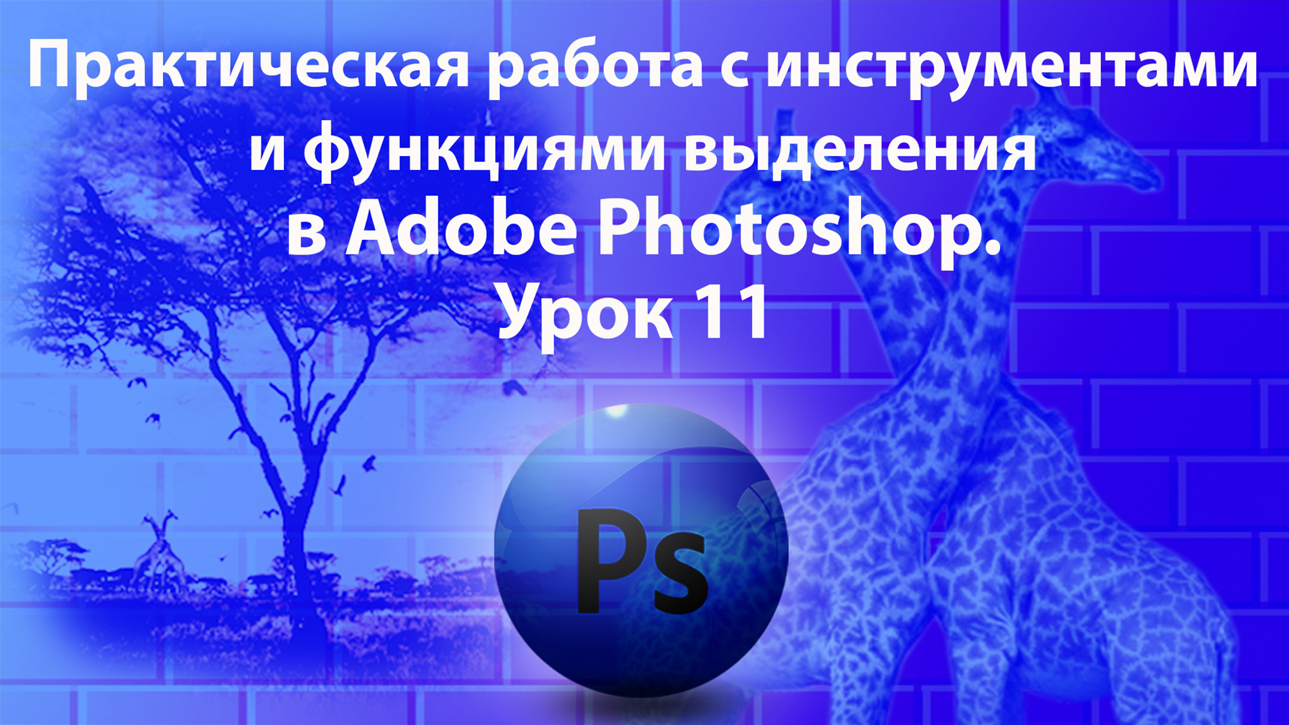 Уроки Фотошопа. Adobe Photoshop. Урок 11. Практическая работа с инструментами и функциями выделения