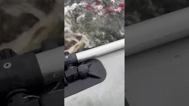 Закрытие рыбального сезона