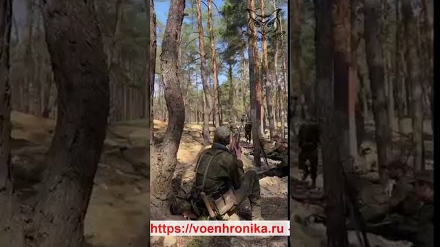 Военная хроника  Спецоперация РФ
