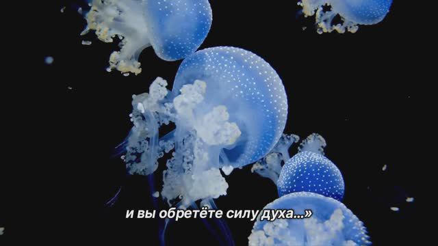 И вы обретете силу духа. 6 июня. День за днем в Ал-анон. Ежедневник для созависимых