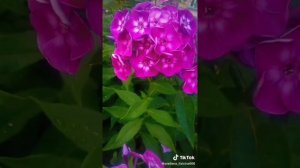 загружено.mp4