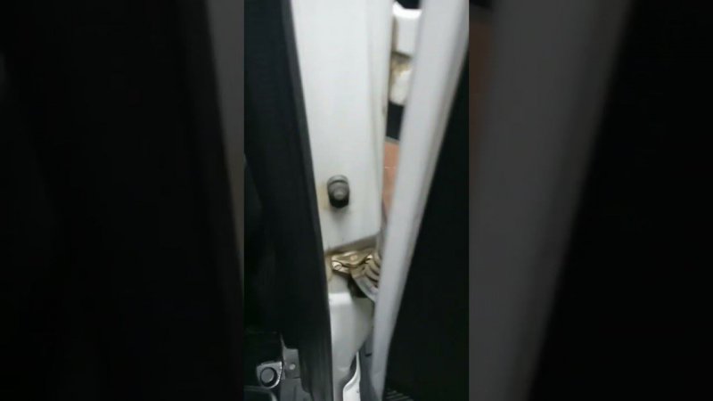 УАЗ АКПП Гофра для проветривание проводов