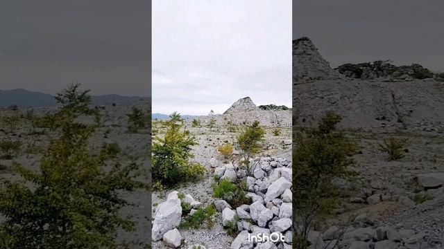 Сопка Брат. Пришла лиса.