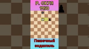 Пешечный эндшпиль | Оппозиция