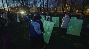 Самый большой рисунок светом в честь 9 мая
