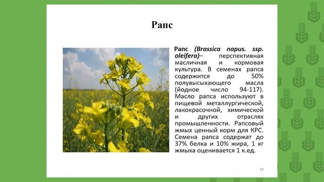 13.1 Растениеводство