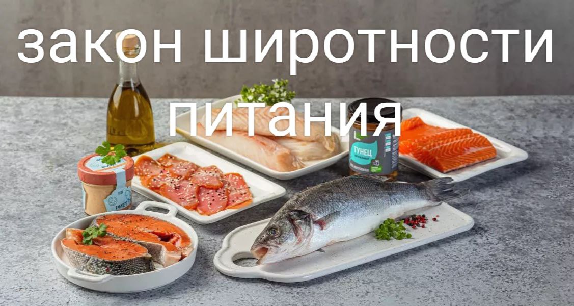 ЗАКОН ШИРОТНОСТИ ПИТАНИЯ