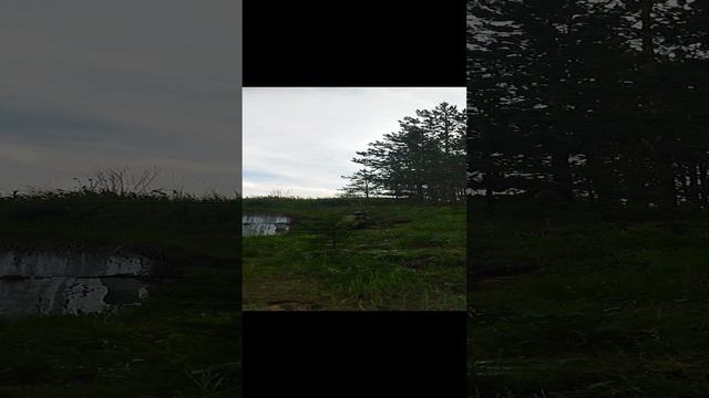 Короткая дистанция на разных уровнях