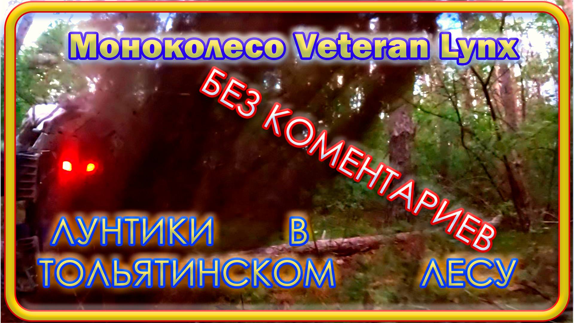 Veteran Lynx  в Тольятти, без комментариев. #велезаръ #моноколесо #veteranlynx #kingSongks18l