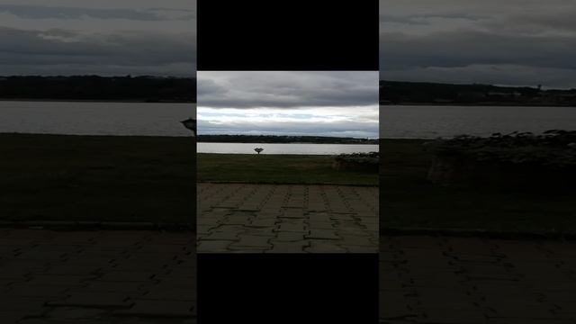 Набережная Волги. Город Кострома.