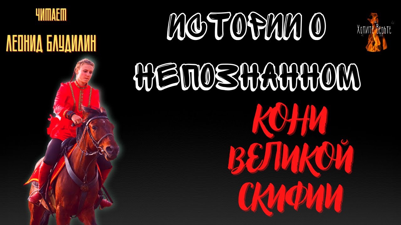 Истории о Непознанном: КОНИ ВЕЛИКОЙ СКИФИИ.
