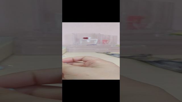 распаковка посылки с ваудэриса