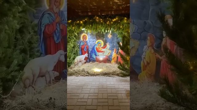 видео 2023 года.mp4