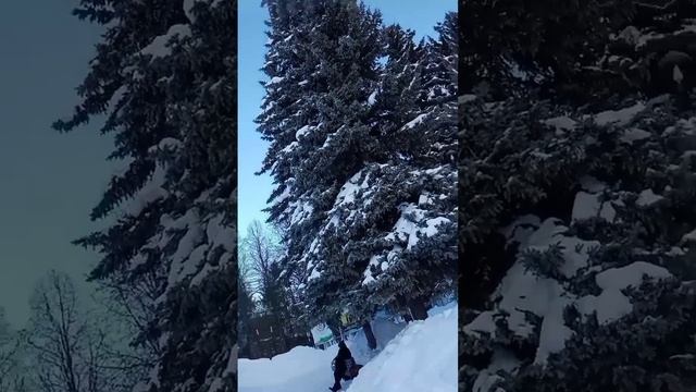 Природа рядом.mp4