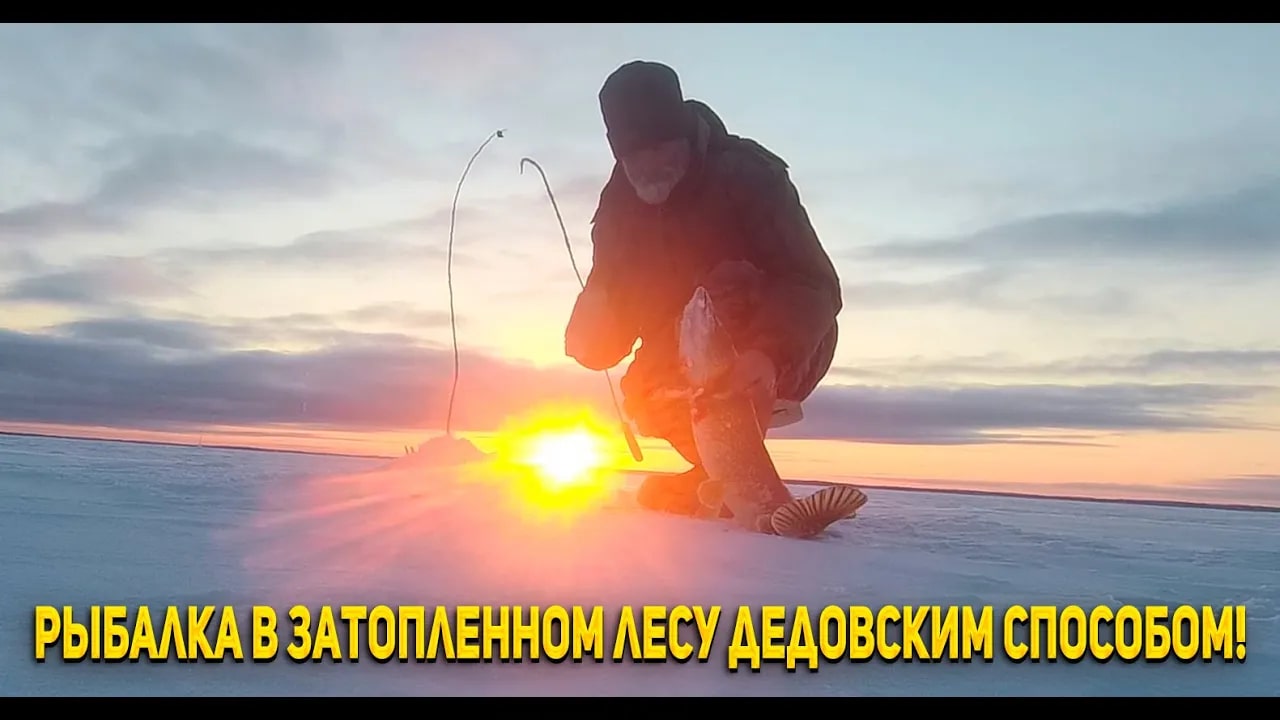 Рыбалка. Ловля щуки и судака на жерлицы (вицы).