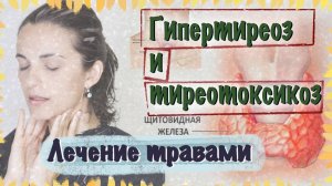 Гипертиреоз, Тиреотоксикоз, лечение травами