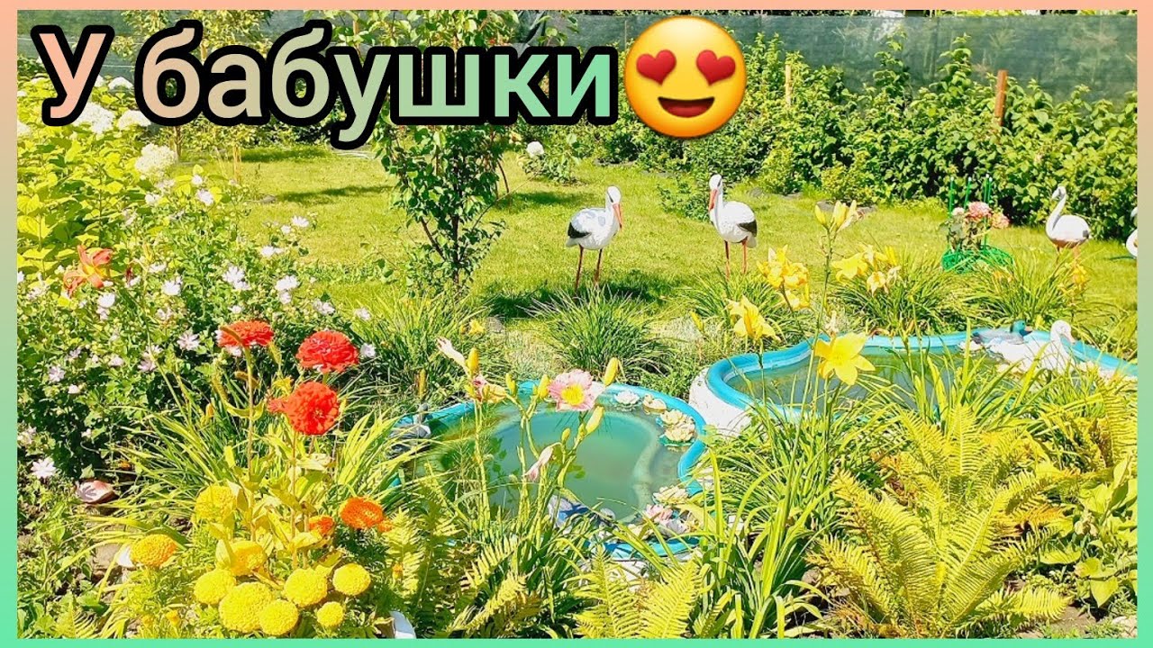 Хотите на дачу??В гостях у бабушки❤️ #теплица ? #декор и #цветы ? #растения #сад #огород #дача