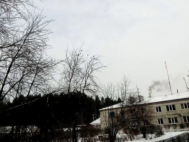 21.02.18. Воробьи