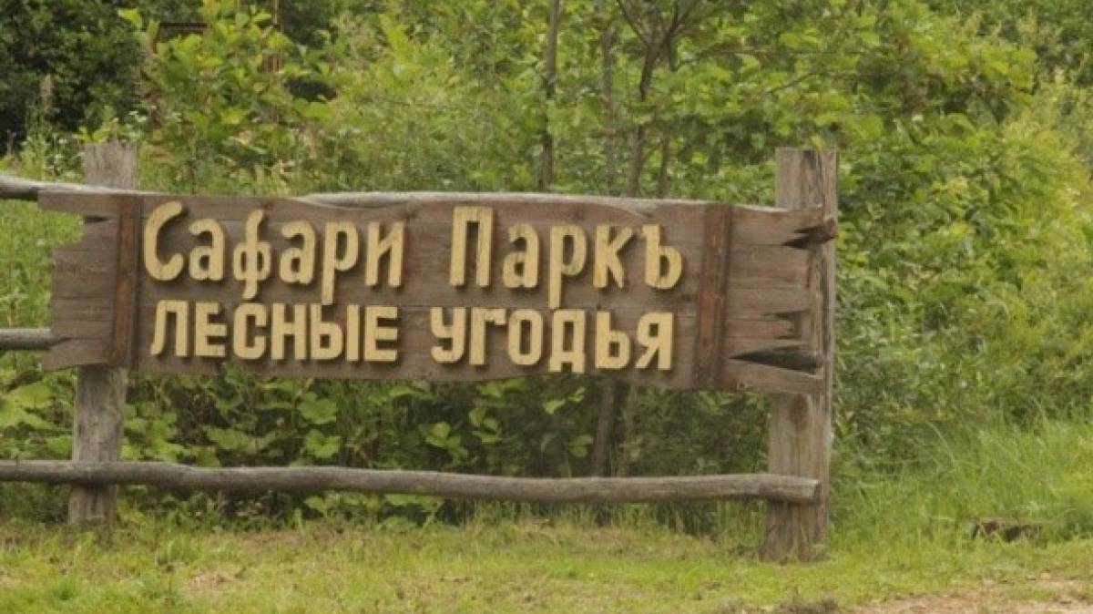 Отдохнули все!