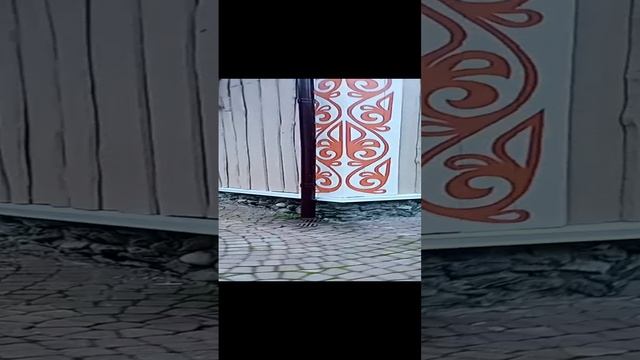 интерактивная выставка Моя Россия Роза Хутор Адлер Сочи