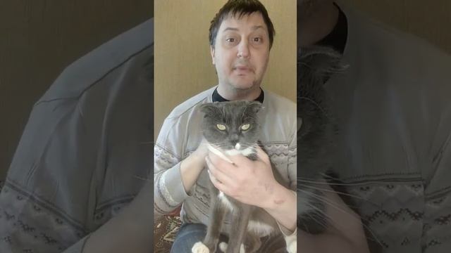 Кошачья геометрия. Измерения длины экватора в Масях.