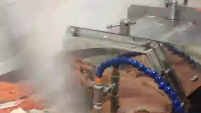 Ручная шкуросъемная машина CH 270 CHAMCO Южная Корея. Для удаления шкуры у рыбы