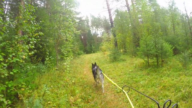 Тренировка 03.09.2022. Заезд 1.mp4