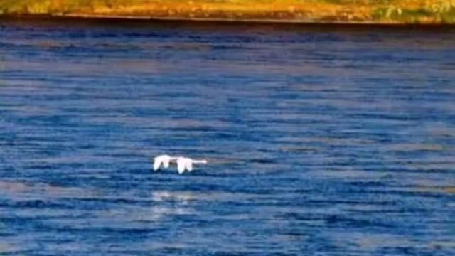 Моя Сибирь - Времена года.
