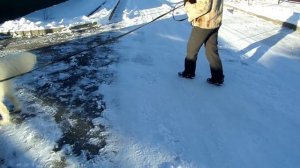 Учимся работать поводком