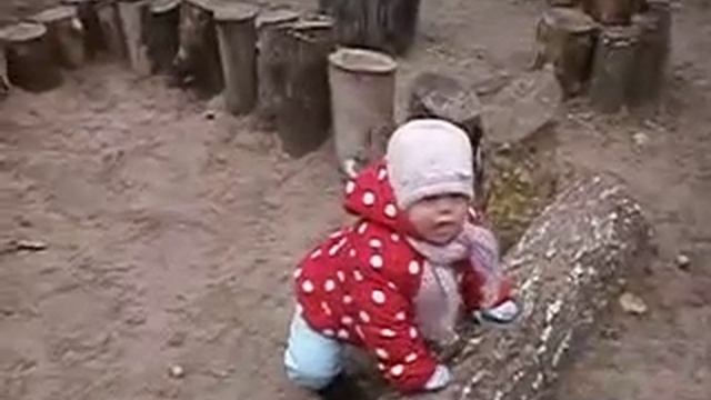 дендропарк осень 2012.