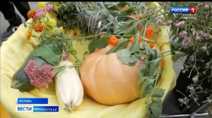 Праздник урожая: Как вырастить большую и вкусную тыкву?