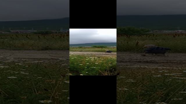 Овчарка с ребенком в лужах. Кто грязнее?