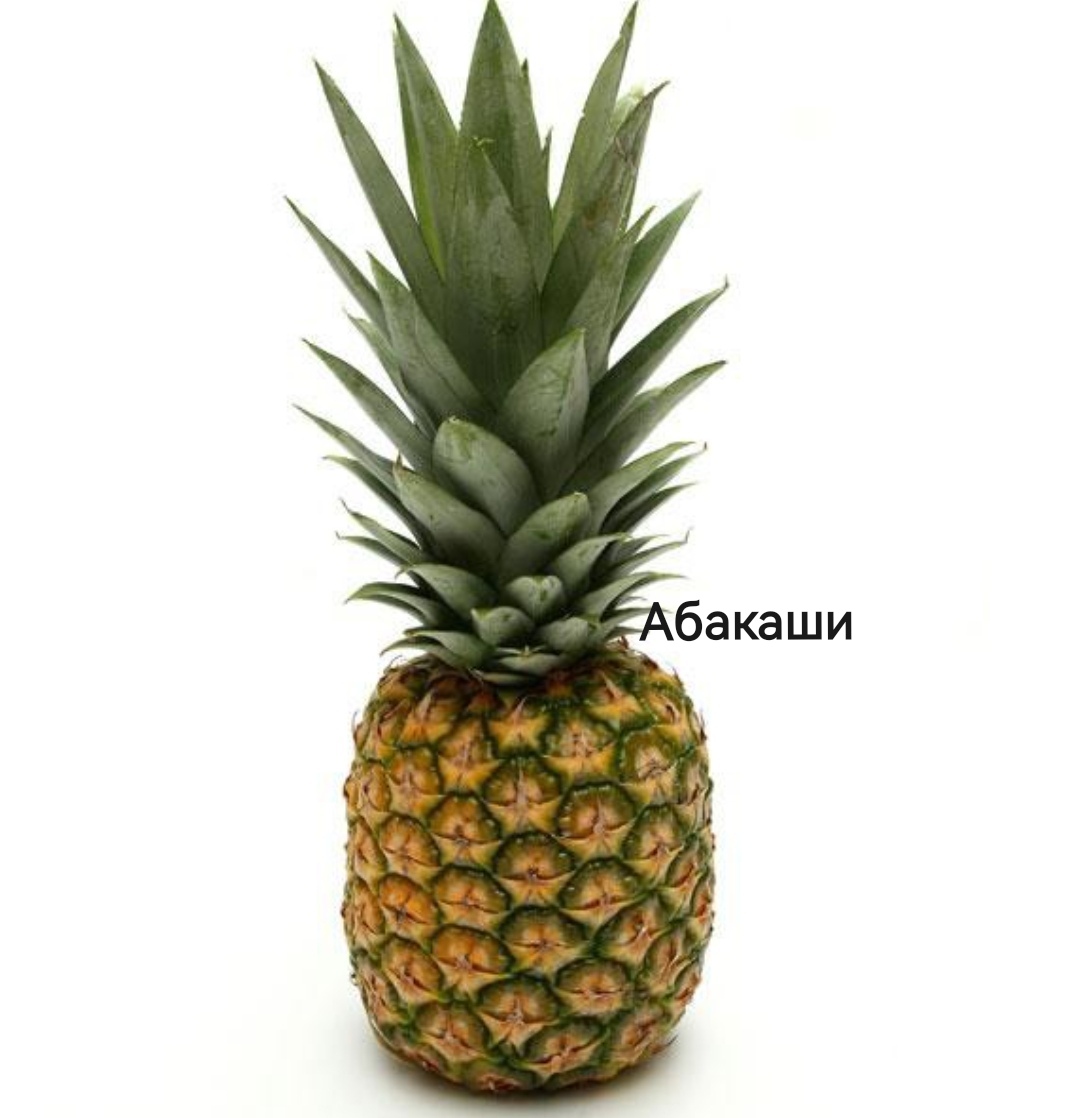 Абакаши ?