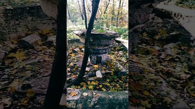В одном из путешествий наткнулись на заброшенный фонтан)