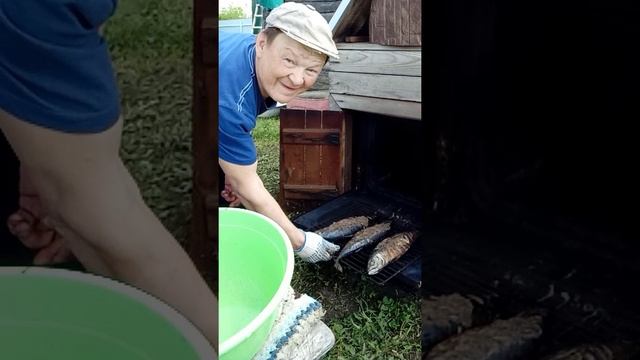 Копчении скумбрии в самодельной коптильни.