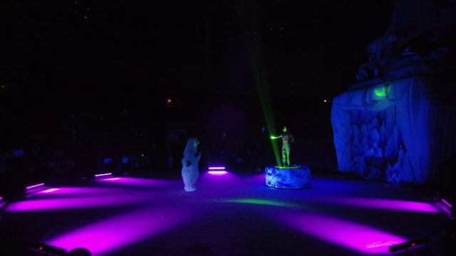 Цирк 2024 лед. шоу (клип)