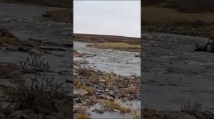 неудачная переправа