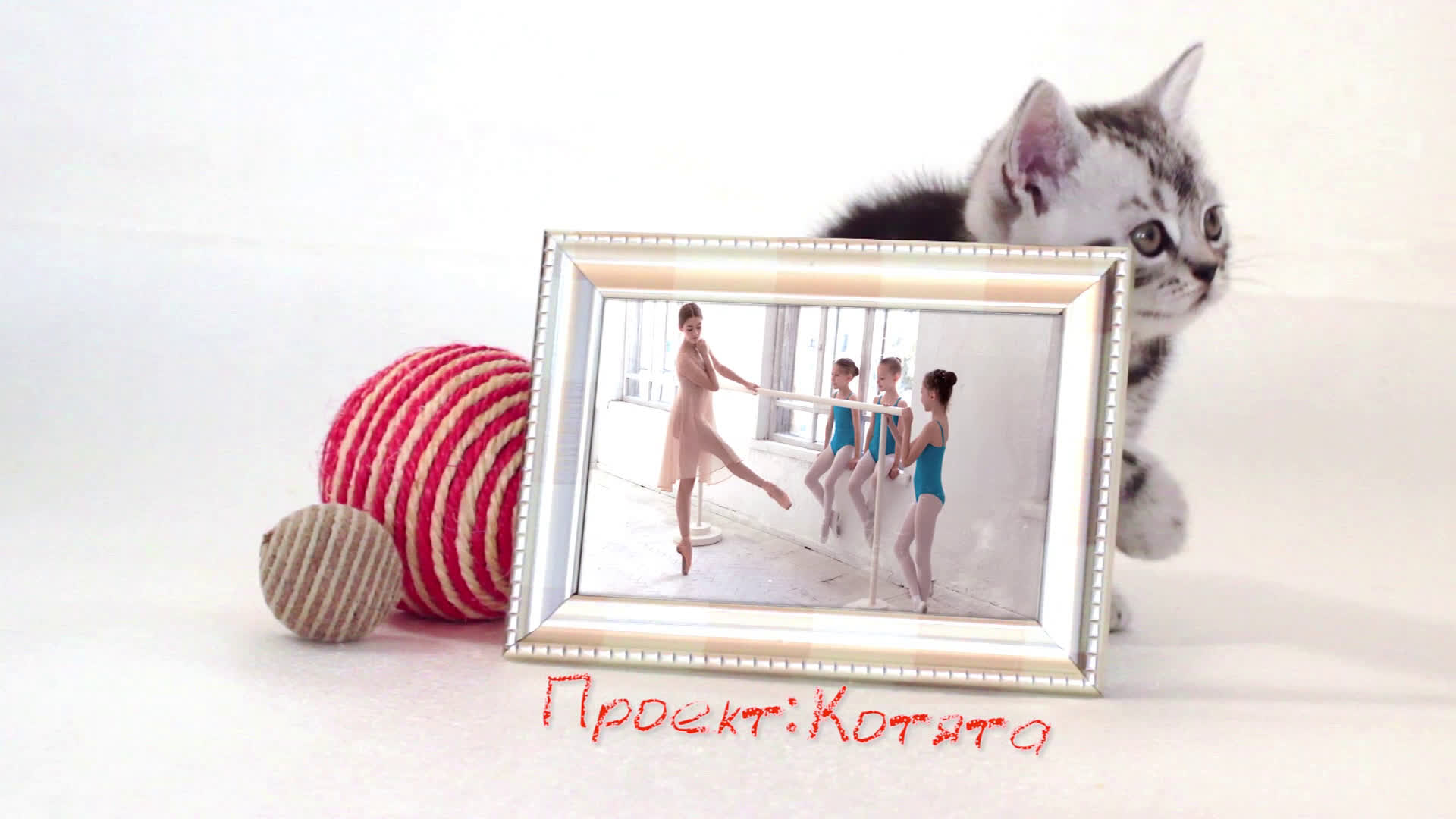 Котята