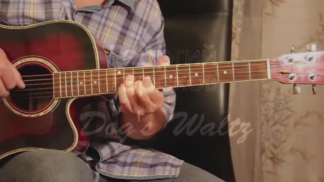 Собачий вальс - fingerstyle