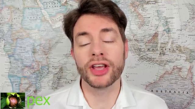 Какова реакция на интерью Такера Карсона на западе?