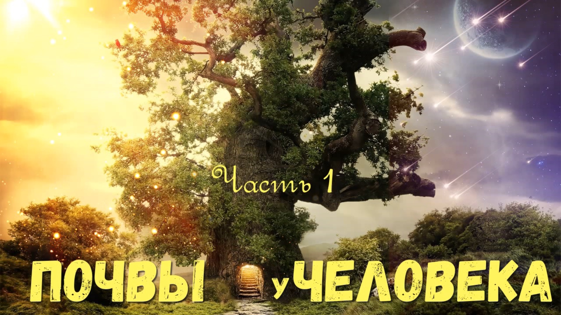Почвы у человека 1 часть, инструмент желания от высших сил