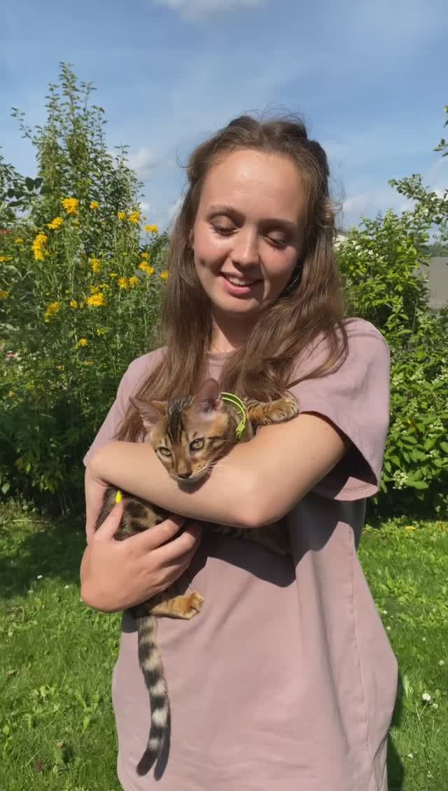 Съедобная игрушка и лакомство для кошек "Весёлый Мур-р-рмелад"