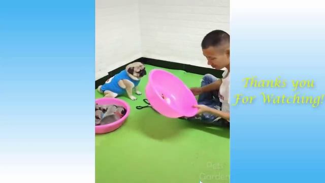 Самые смешные животные-1.mp4